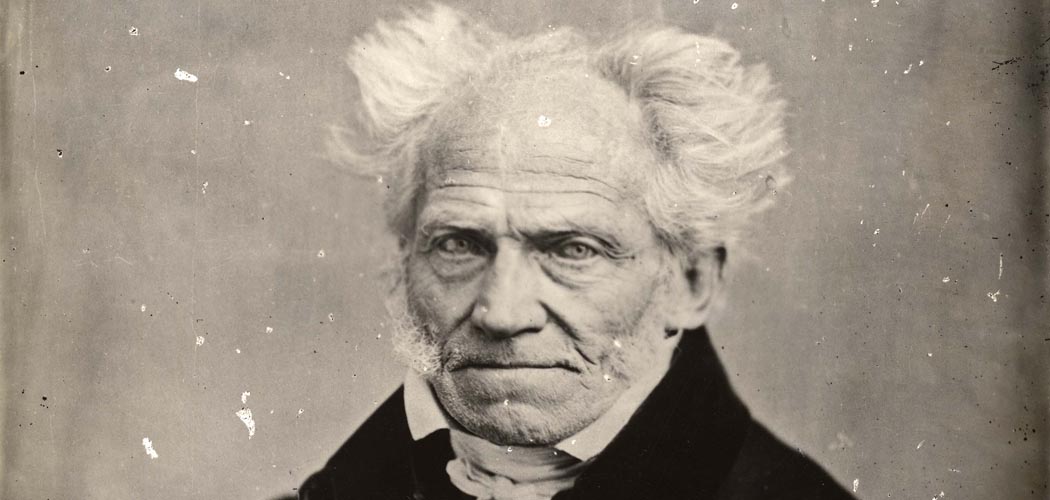 Schopenhauer | Antilogicalism